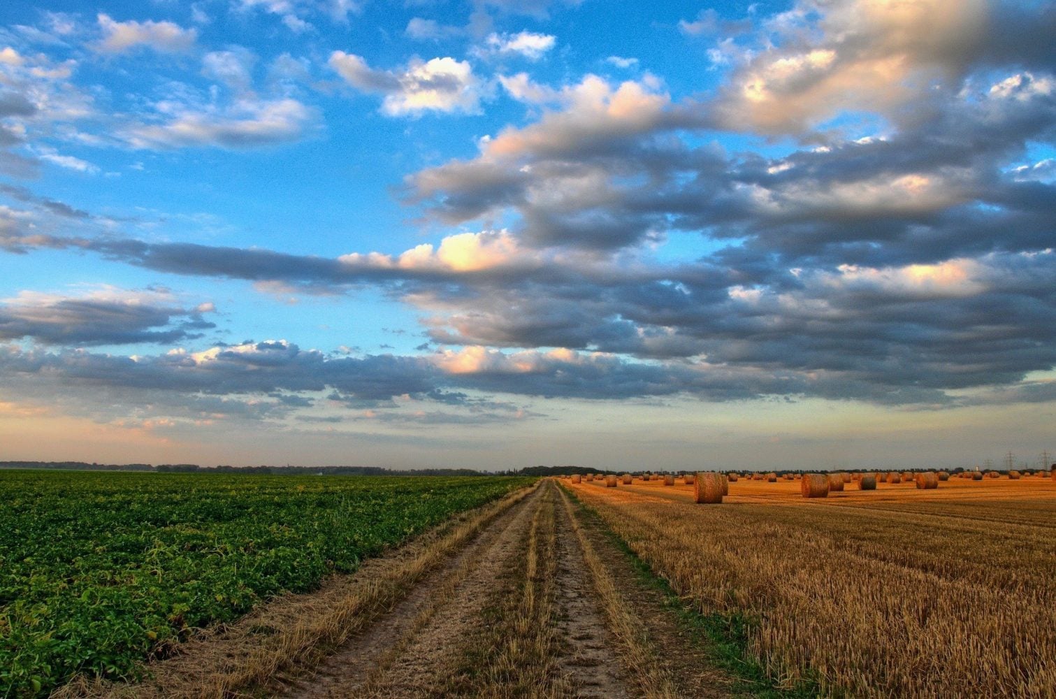 10 Ways to Start Homesteading Today
