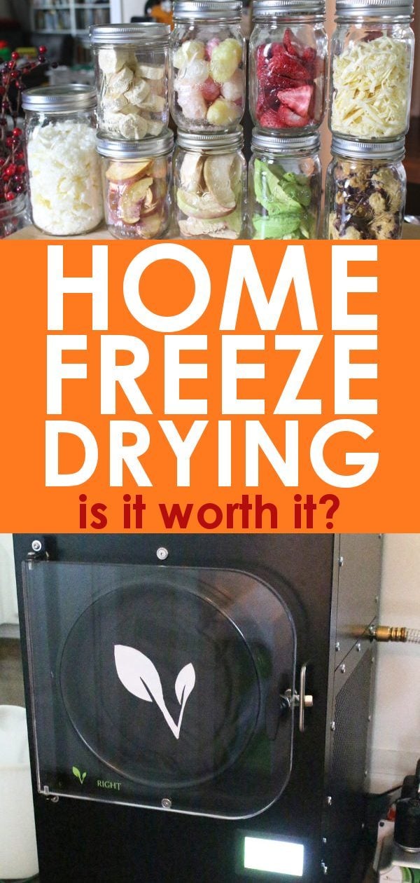 Beginner's Guide to Home Freeze Drying - Harvest Right Personal Review