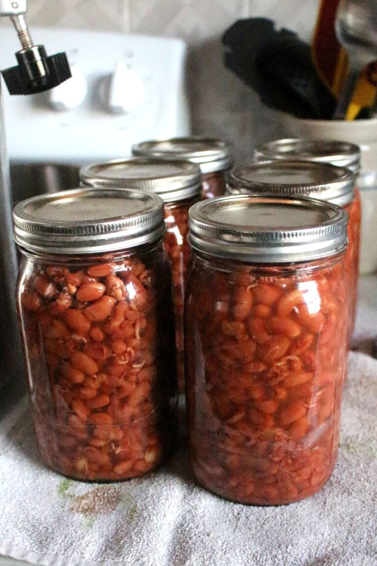 Canning Dry Beans | An Easy Pantry Staple