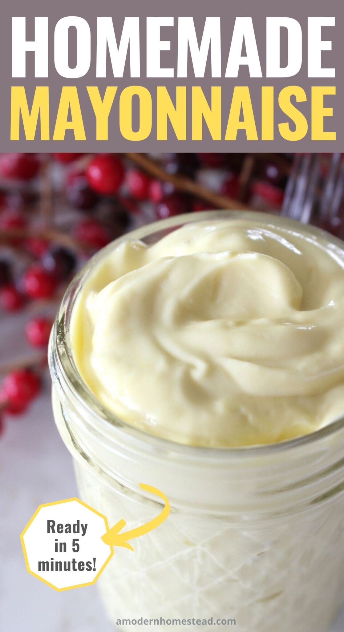 Homemade Mayo Recipe NO OLIVE OIL -- G.A.P.S Diet * Keto * Paleo