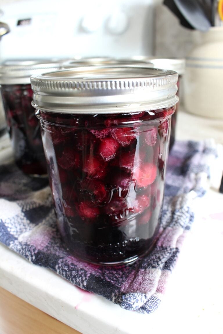 Canning Blueberries in Syrup