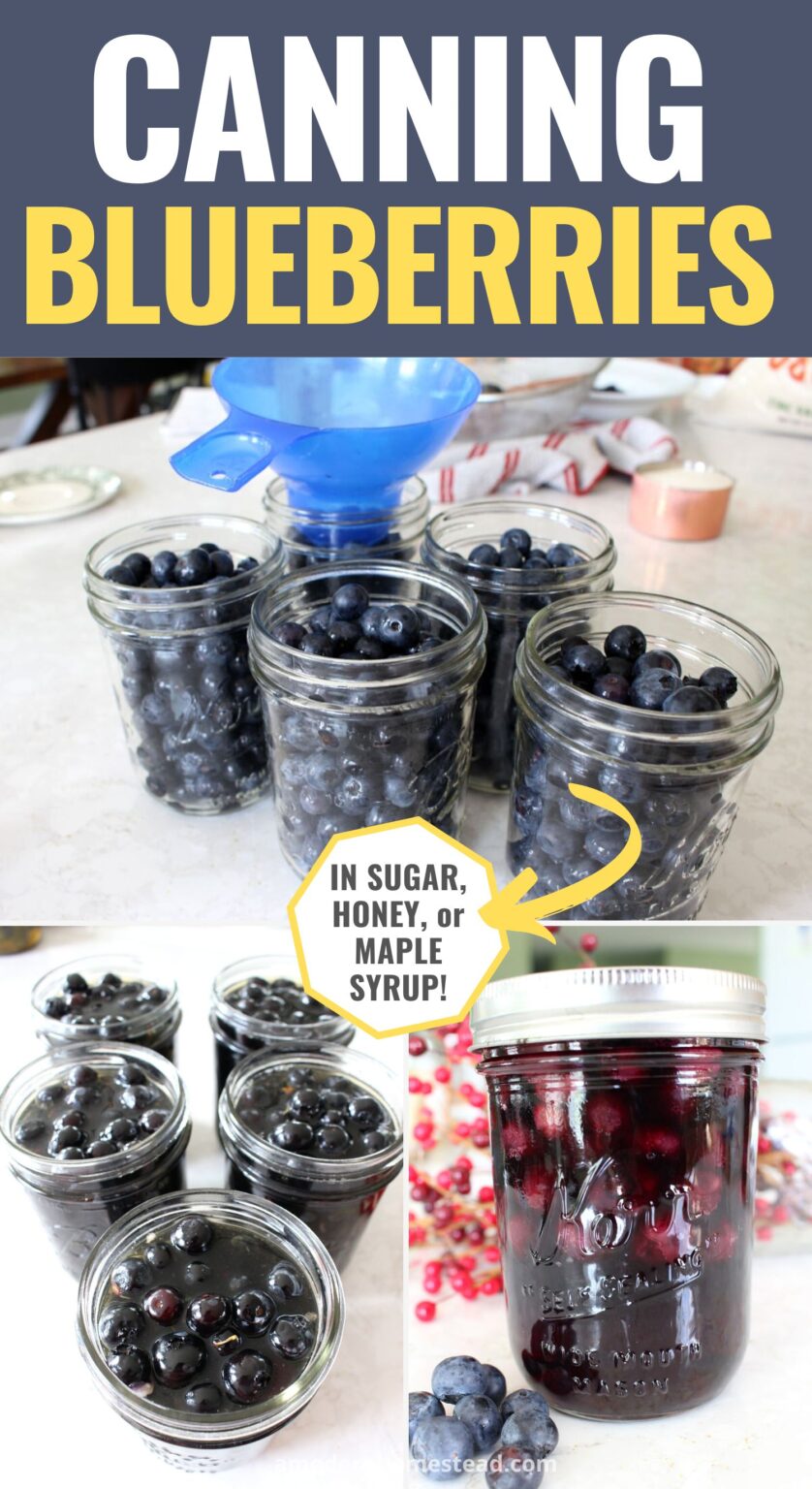 Canning Blueberries in Syrup