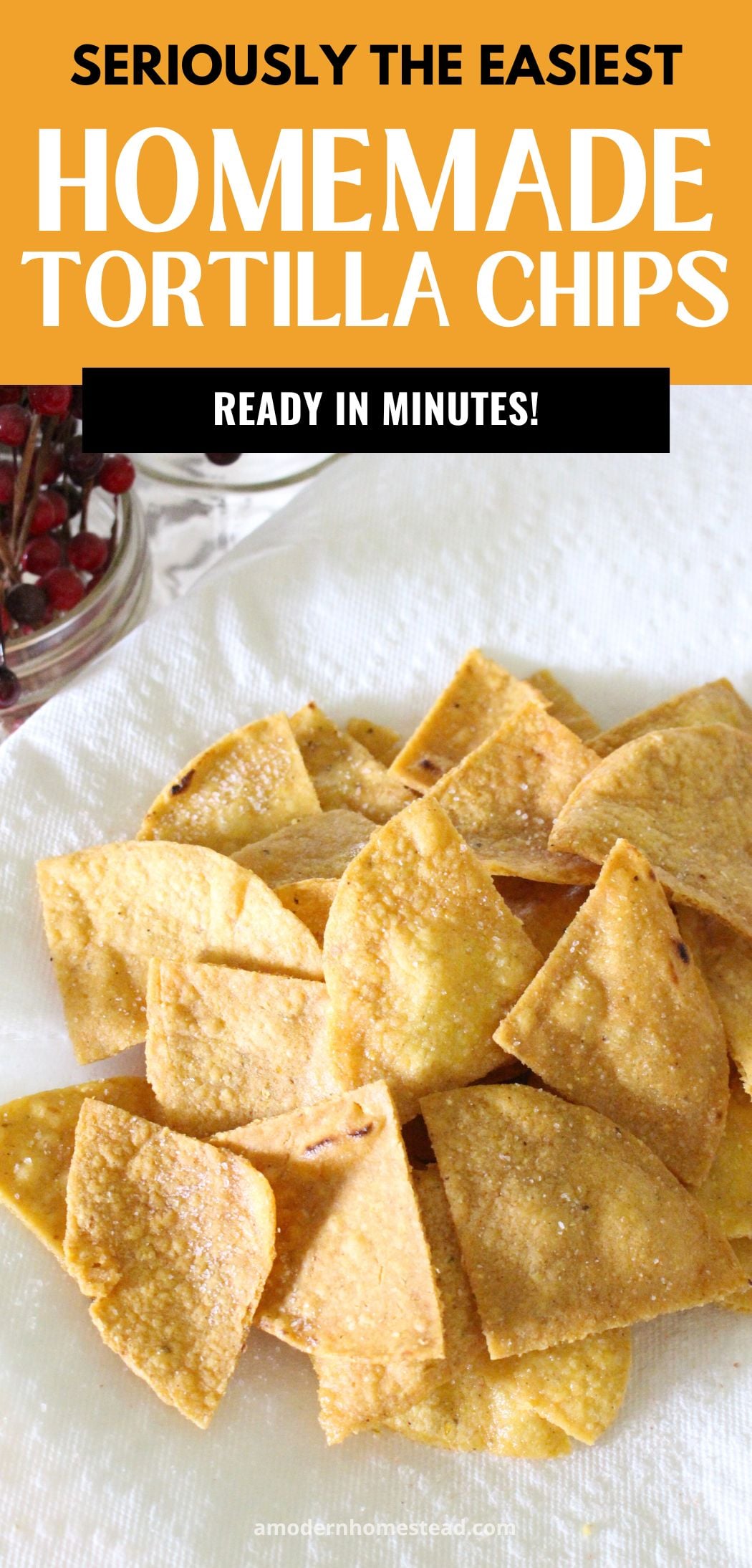 Homemade Corn Tortilla Chips