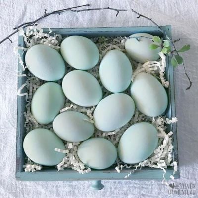 Silver Homestead - A One Acre Farmhouse