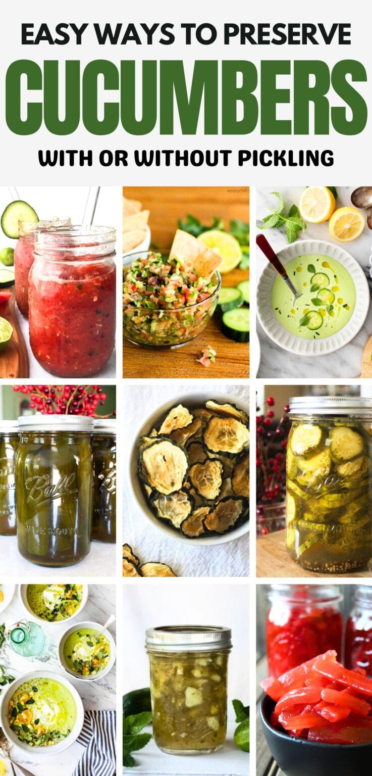 9 Ways to Preserve Cucumbers (with or without pickling!)