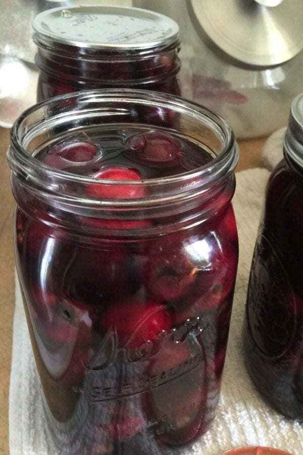 Canning Cherries (Easy Water Bath Canning Recipe)