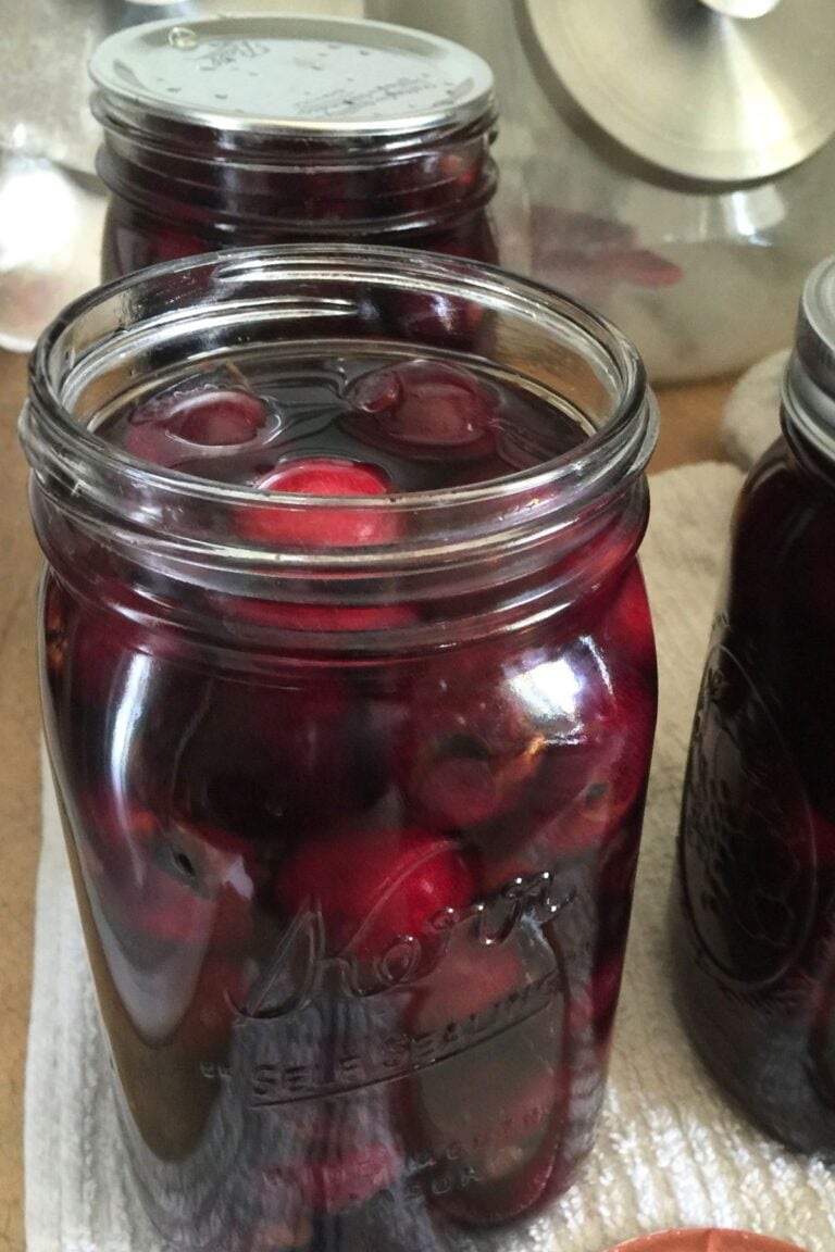 Canning Cherries (Easy Water Bath Canning Recipe)